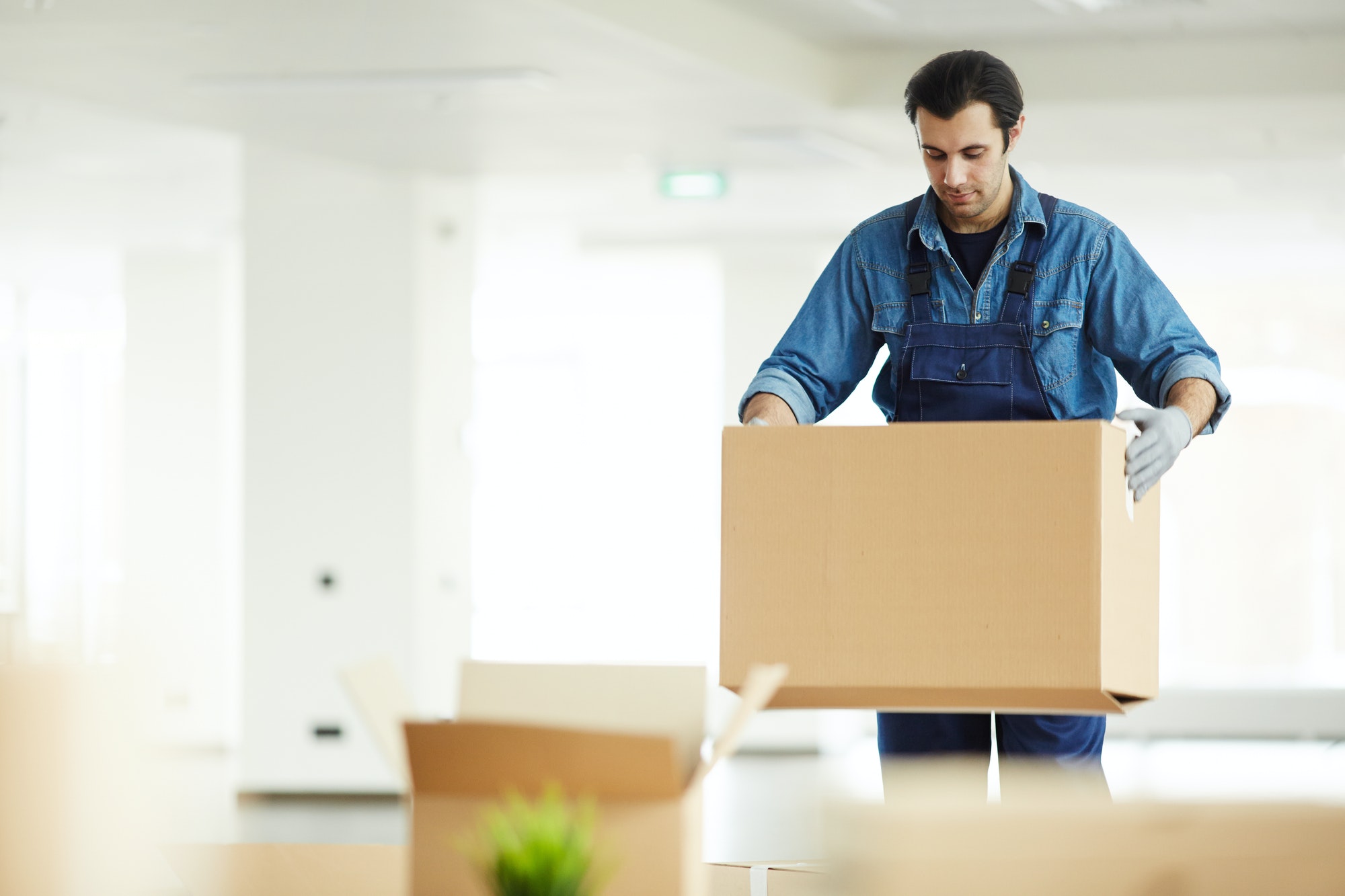 Sun Packers and Movers